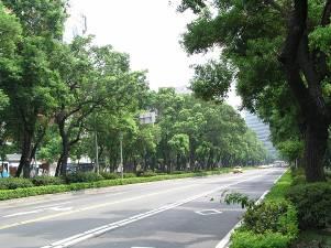 Taipei City Government-MMO-Dunhua North Road