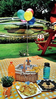 Taipei City Government-Sports/Leisure -Picnics Are More Fun Than You Think